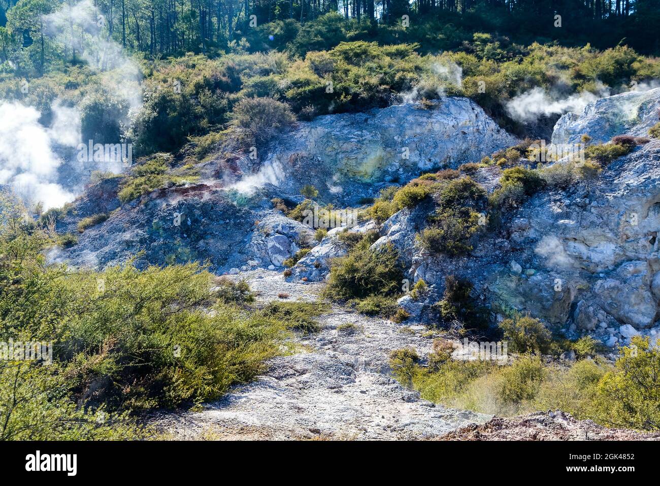 Boiling mud and sulfur springs due to volcanic activity in Wai-O-Tapu ...