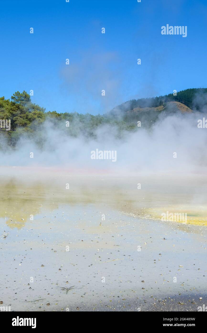 Boiling mud and sulfur springs due to volcanic activity in Wai-O-Tapu ...