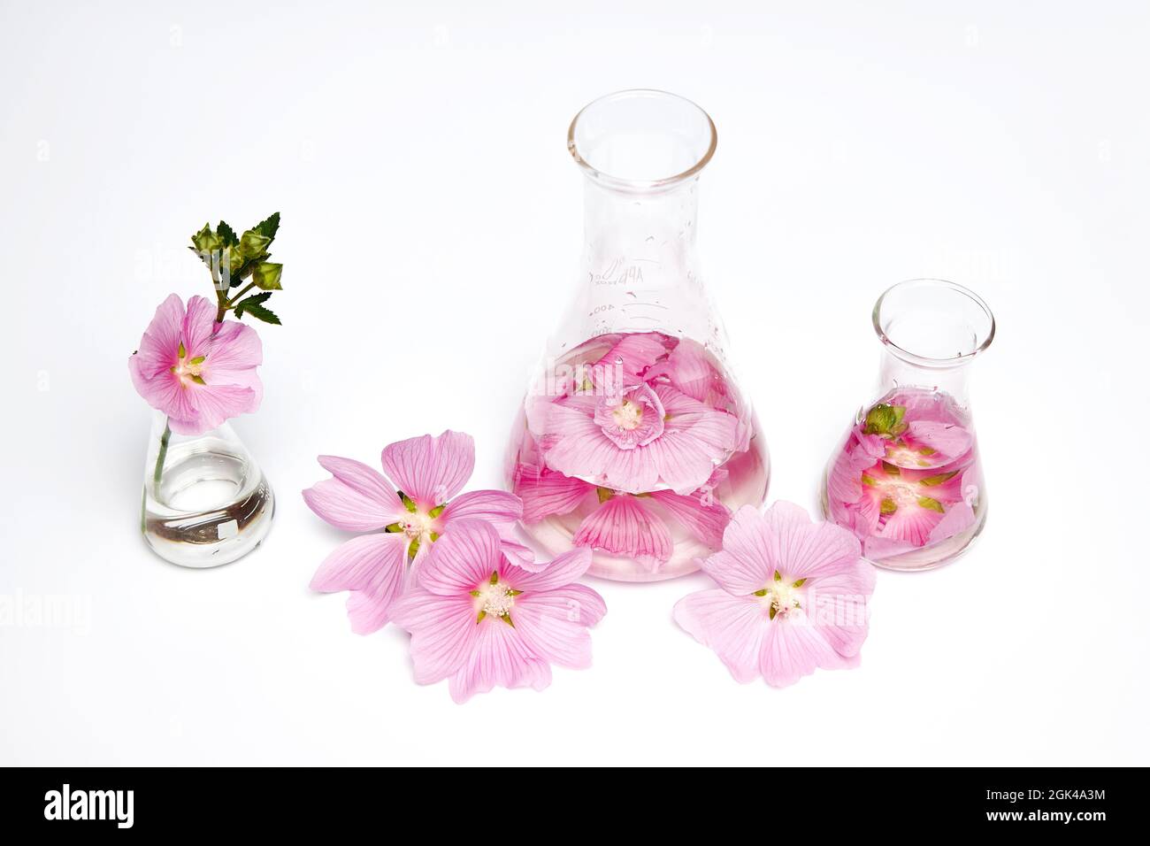 Bottle flask extract of natural cosmetics flower petals. Natural ...