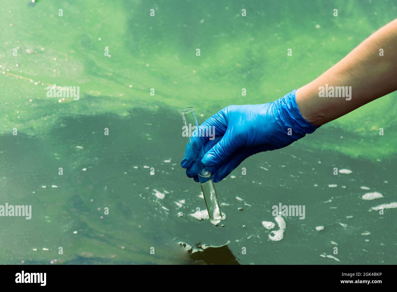 A gloved hand takes water into a test tube from a city reservoir. Urban ...
