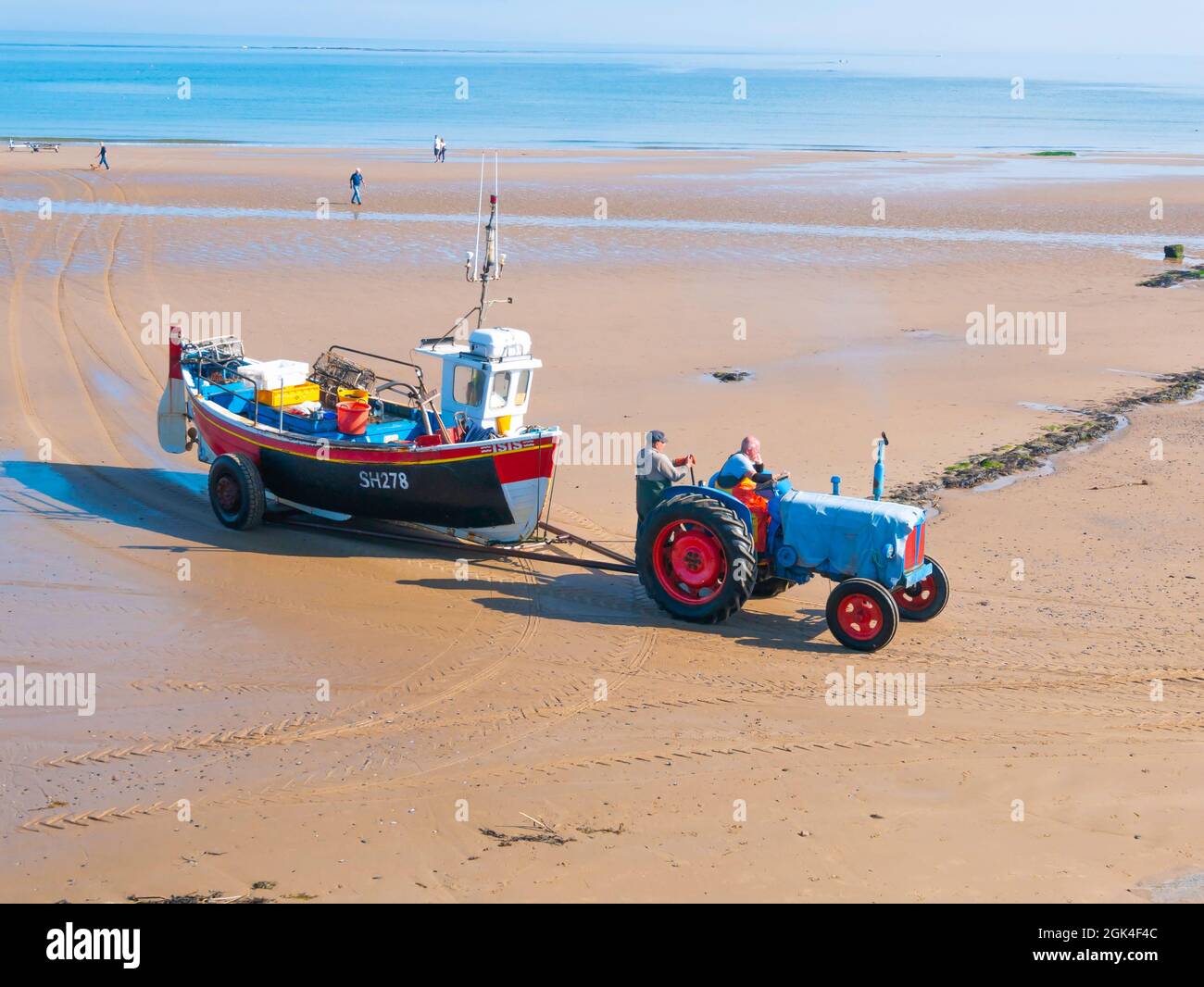 Crab or Lobster, Fisherman driving a tractor hauling their boat SH278 ...