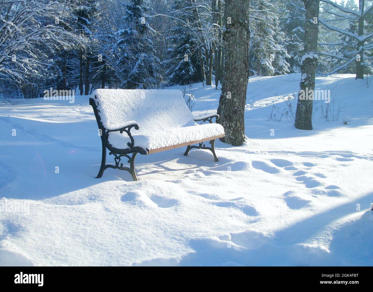Winter scene, Park bench in the snow. Nice view Stock Photo - Alamy