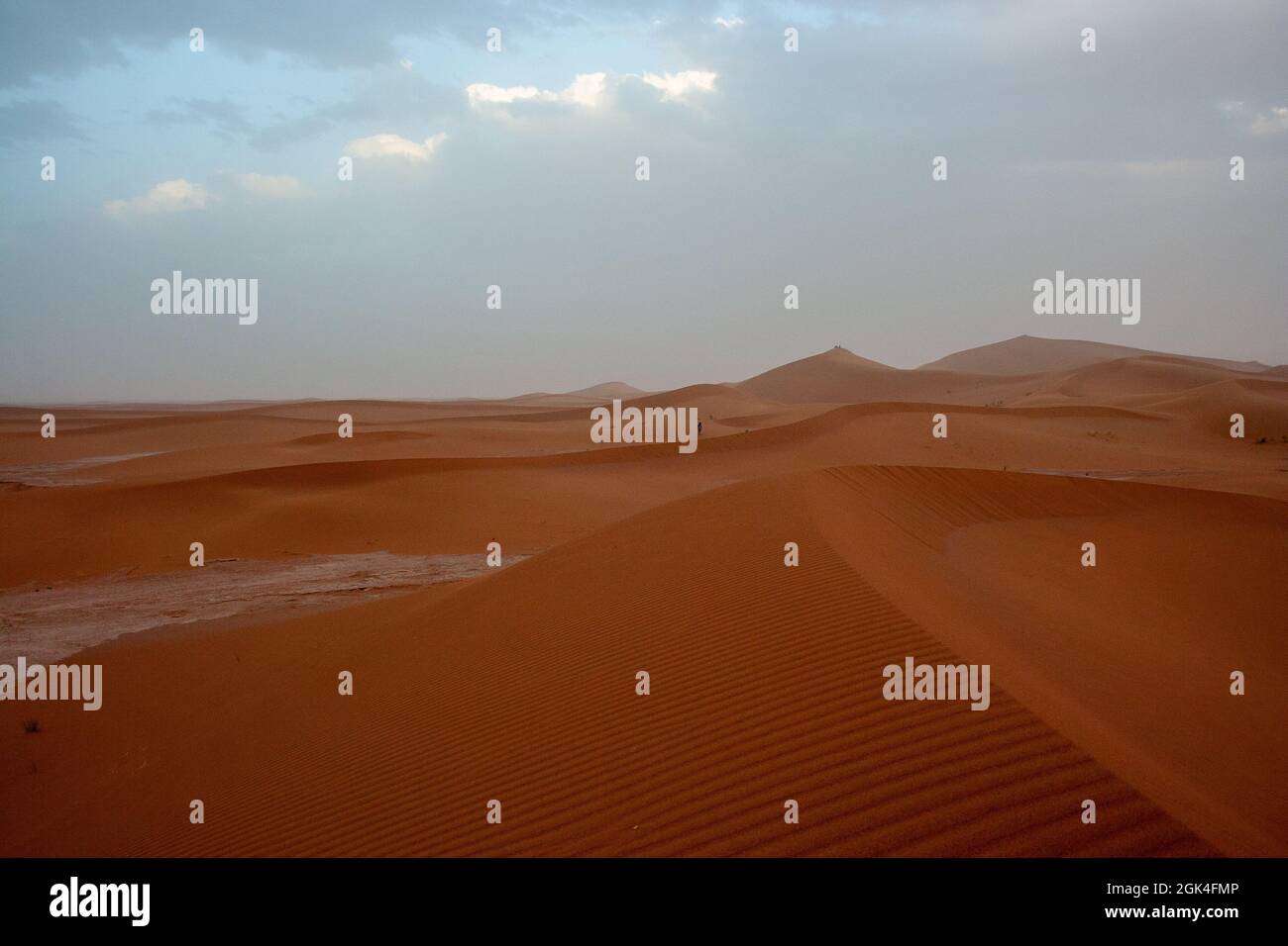 Morocco Sahara sand dunes of erg Chebbi, Morocco, Africa Stock Photo ...