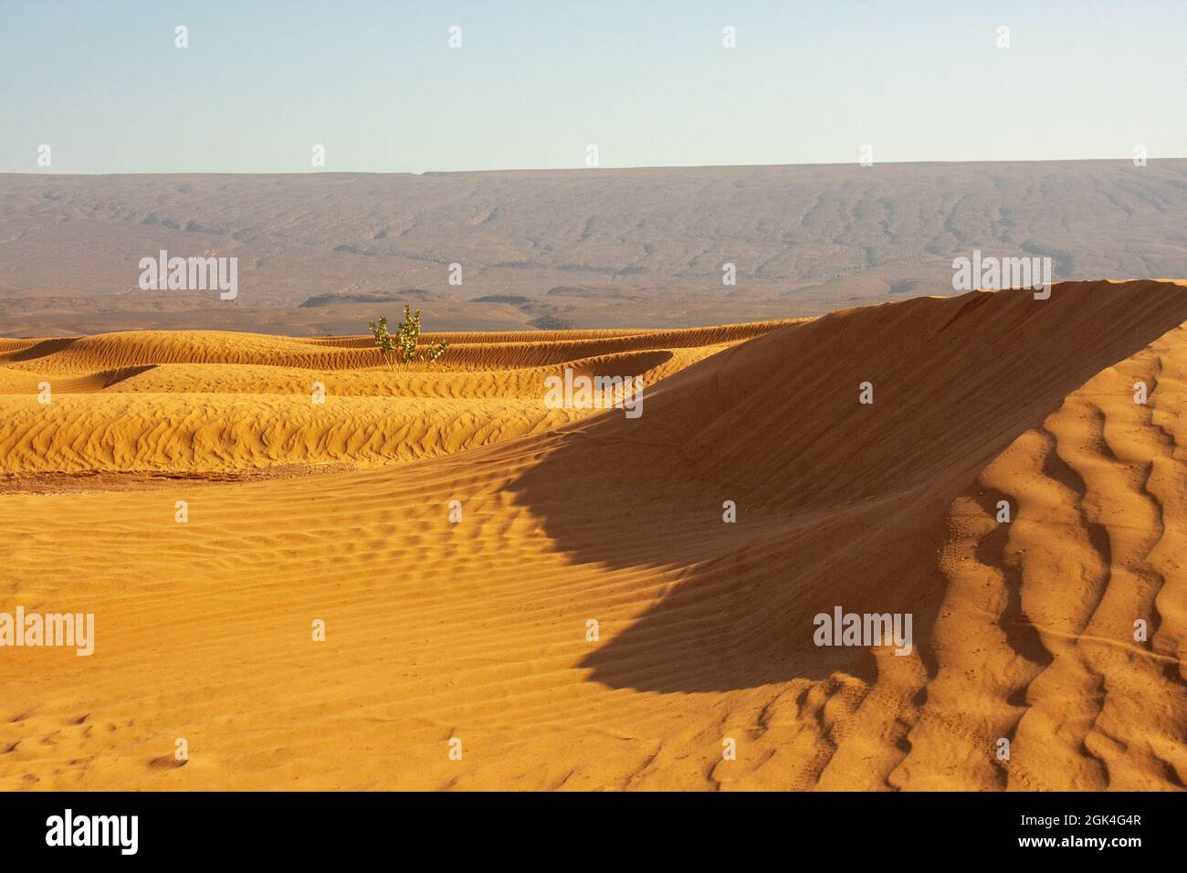 Morocco Sahara sand dunes of erg Chebbi, Morocco, Africa Stock Photo ...