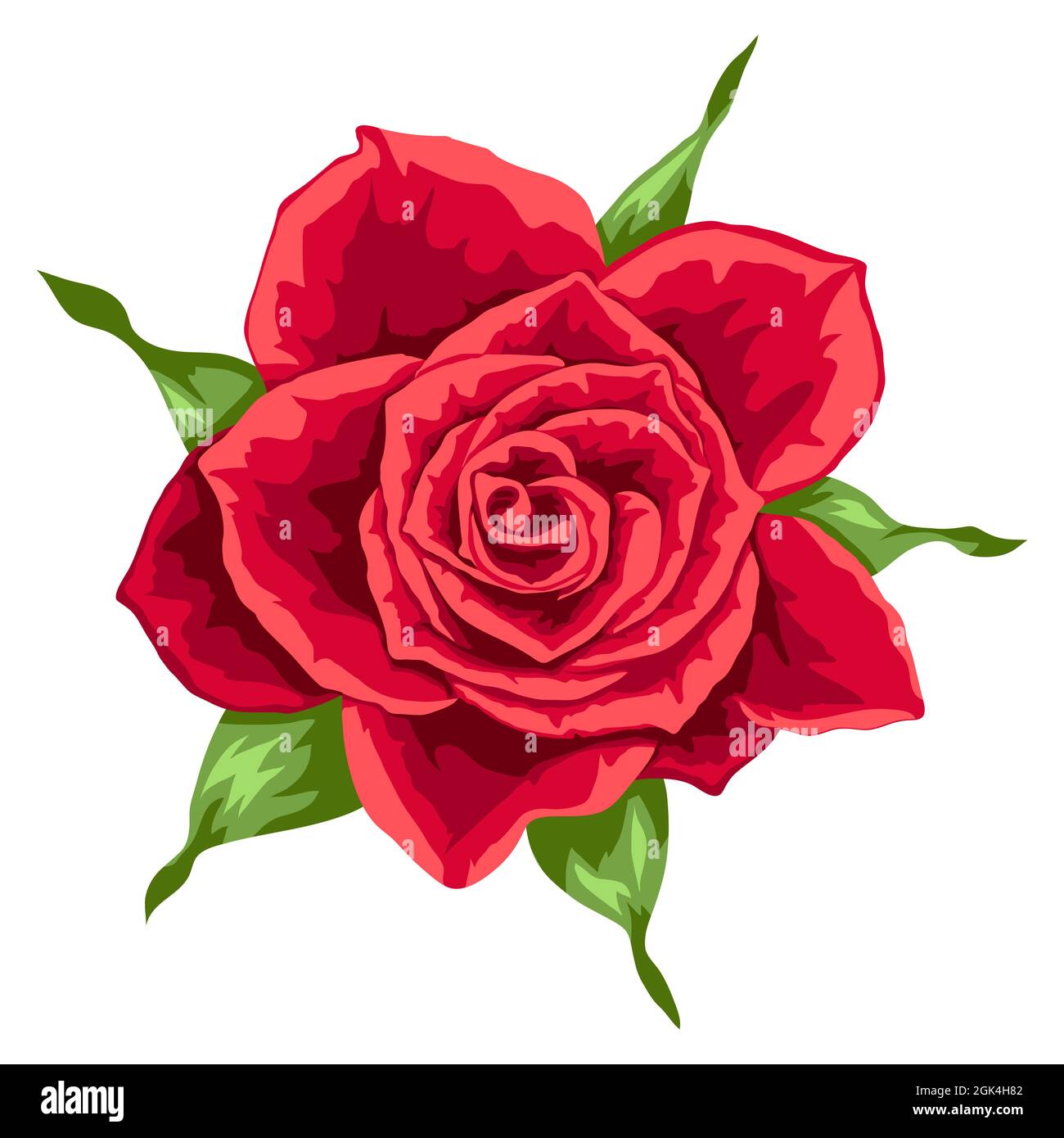 Illustration of beautiful realistic rose. Bud for design and decoration ...