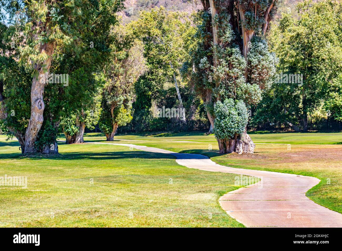 Golf cart driving on golf course hi-res stock photography and images ...