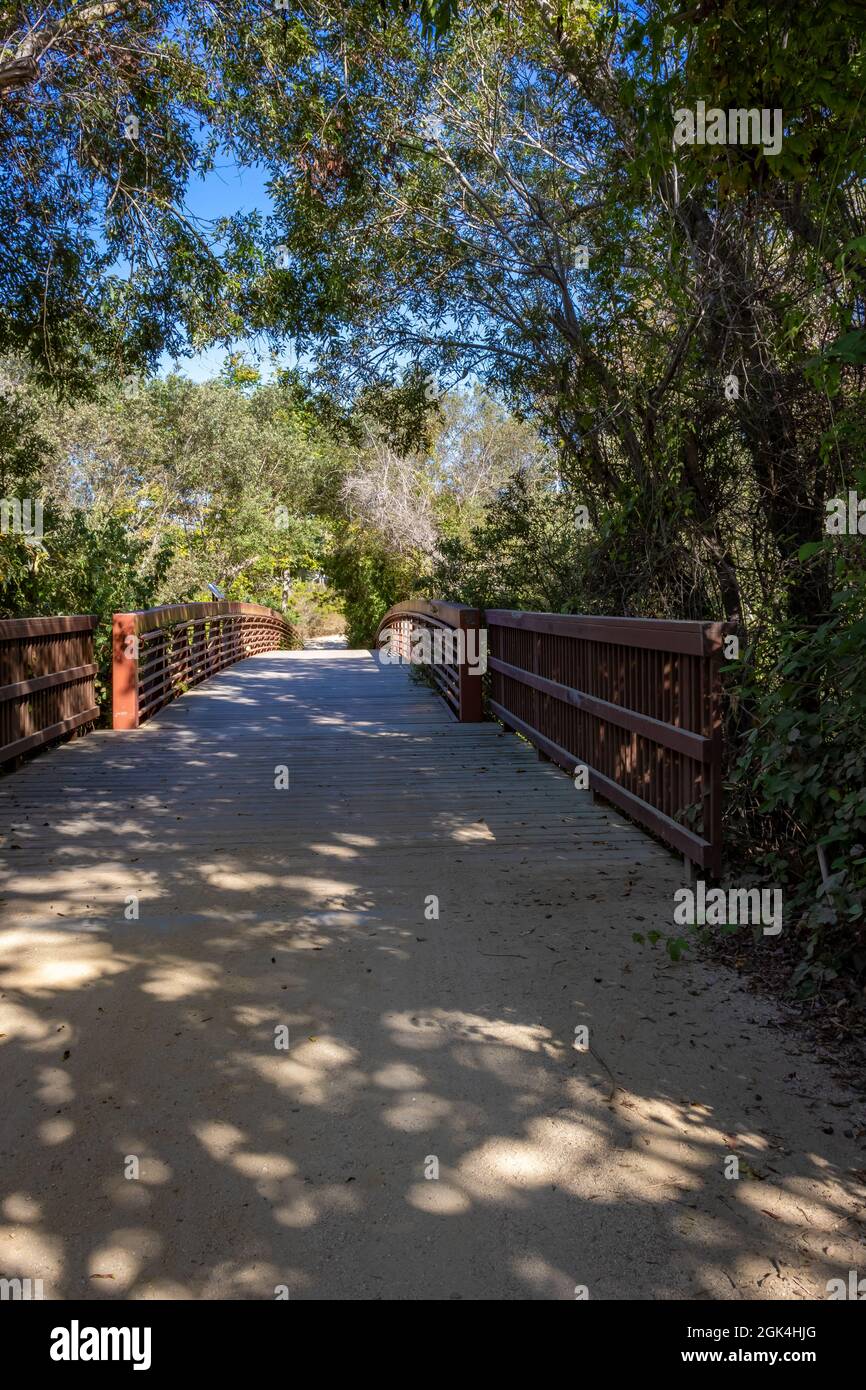 Trees covering the walkway hi-res stock photography and images - Alamy