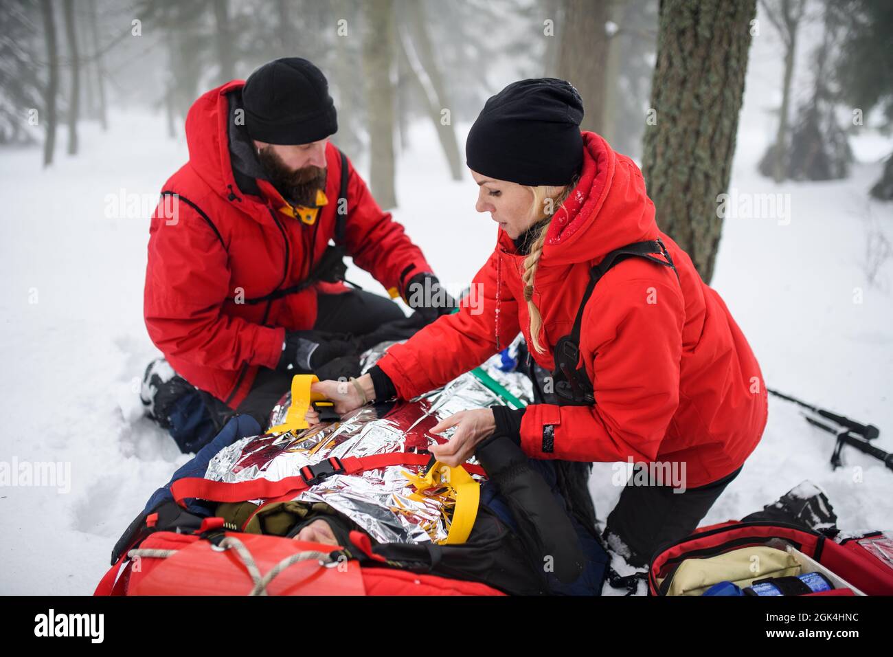 Mountain rescue service provide operation outdoors in winter in forest ...