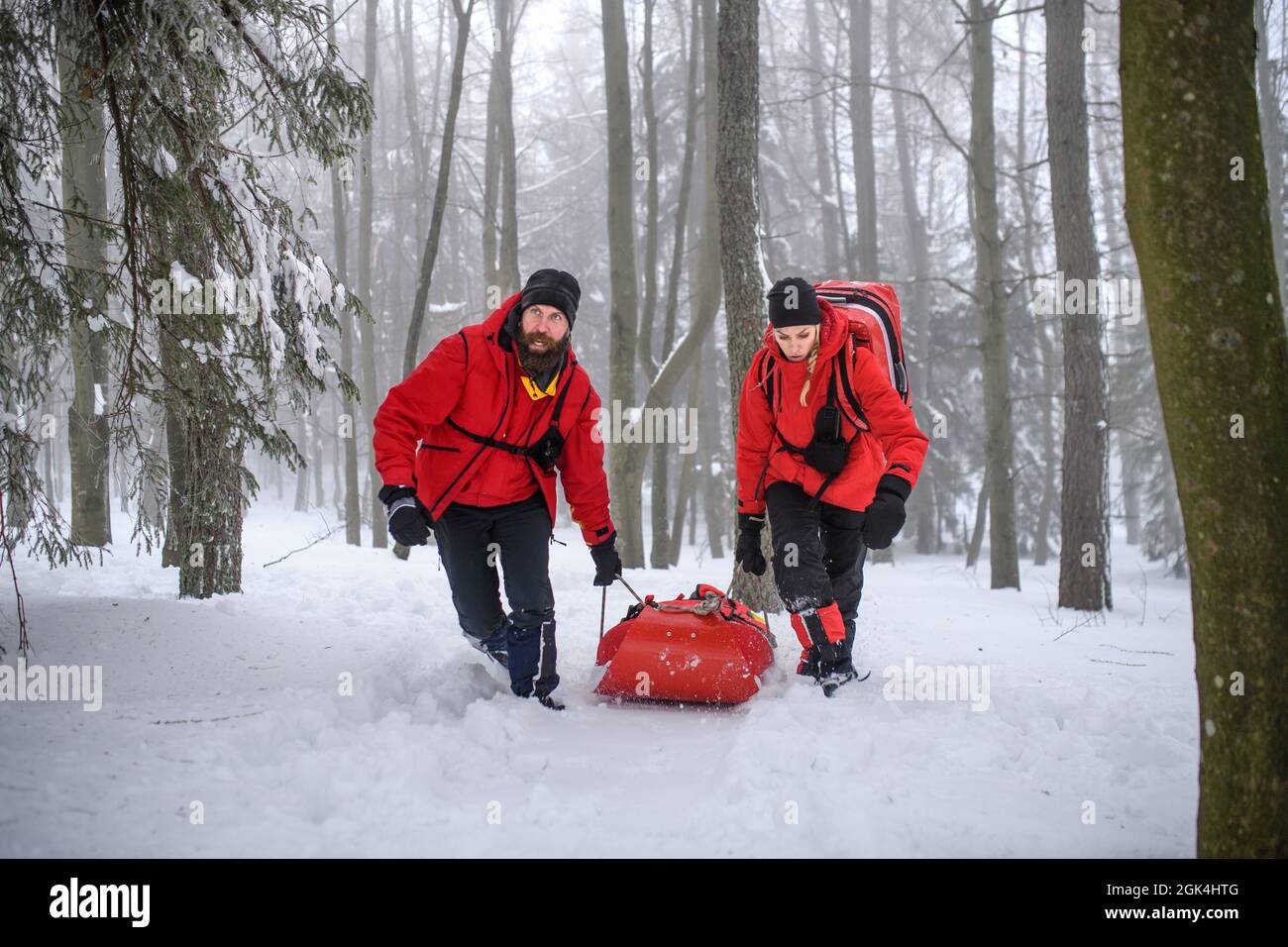 Mountain rescue service provide operation outdoors in winter in forest ...