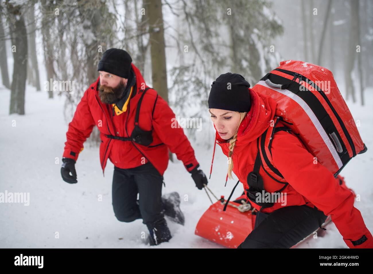 Mountain rescue service provide operation outdoors in winter in forest ...