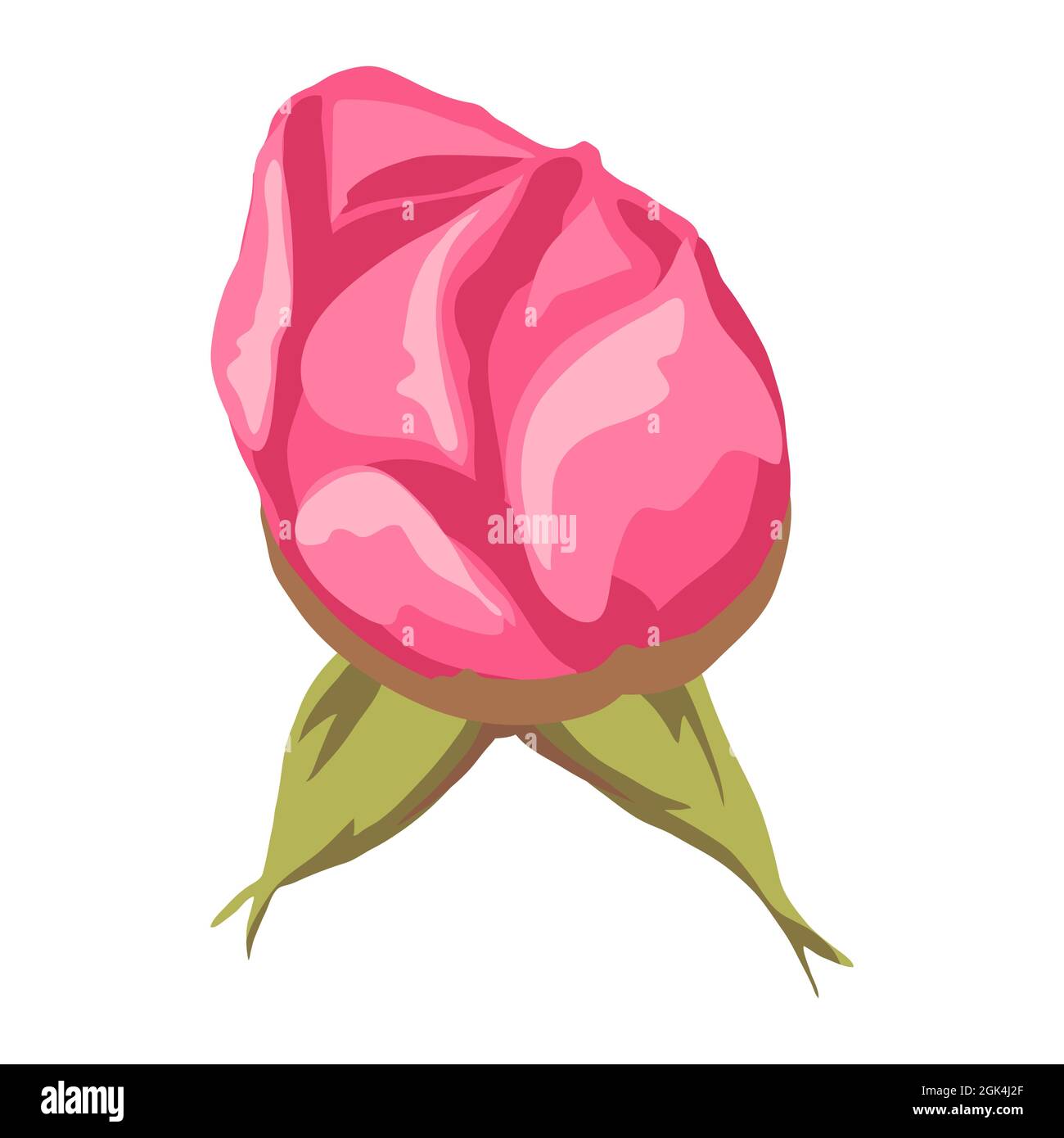 Illustration of beautiful realistic rose. Bud for design and decoration ...