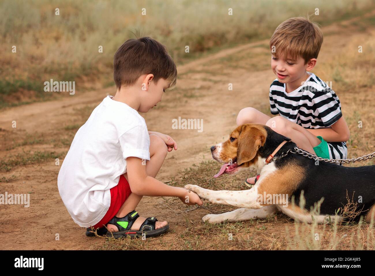 Are Beagles Good With Kids Or Toddlers