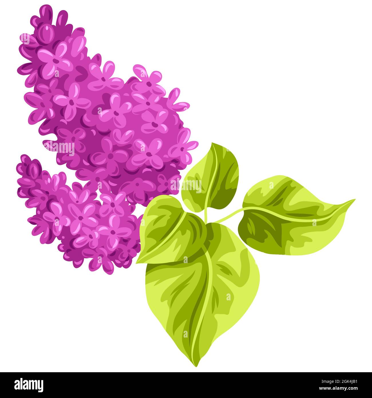 Illustration of stylized lilac branch with leaves. Decorative summer ...