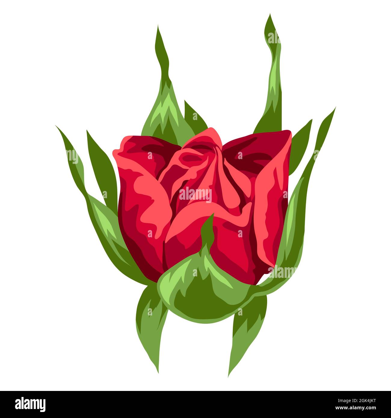 Illustration of beautiful realistic rose. Bud for design and decoration ...