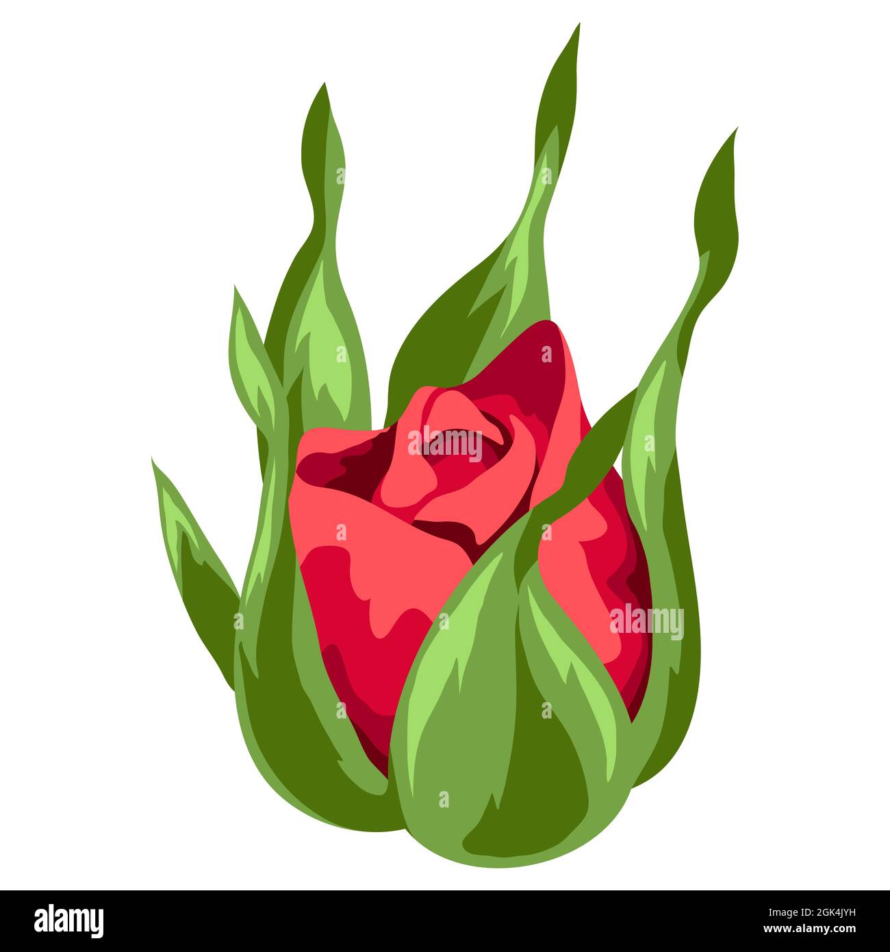 Illustration of beautiful realistic rose. Bud for design and decoration ...
