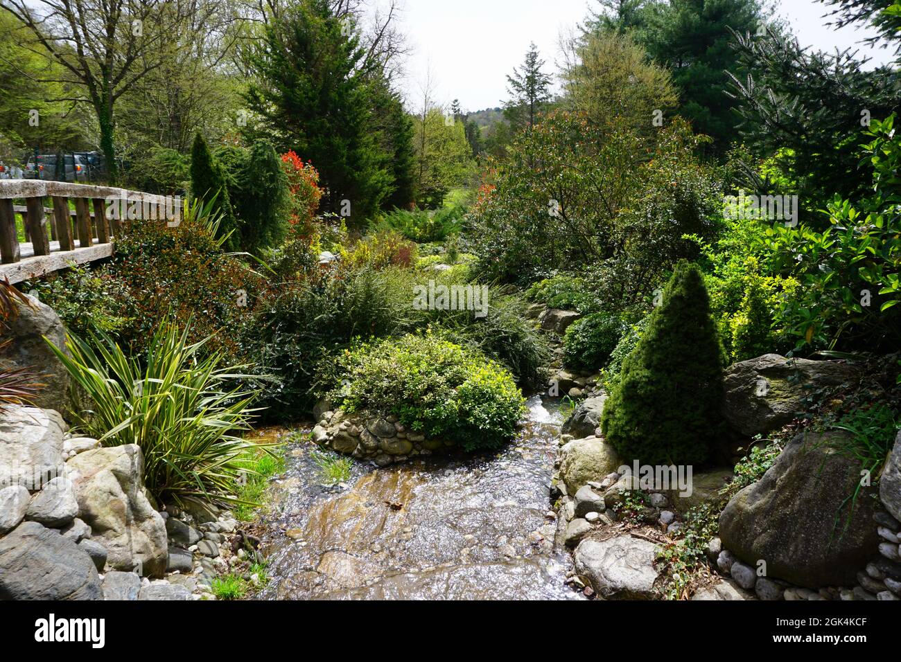 Natural stream and forest landscape Stock Photo - Alamy