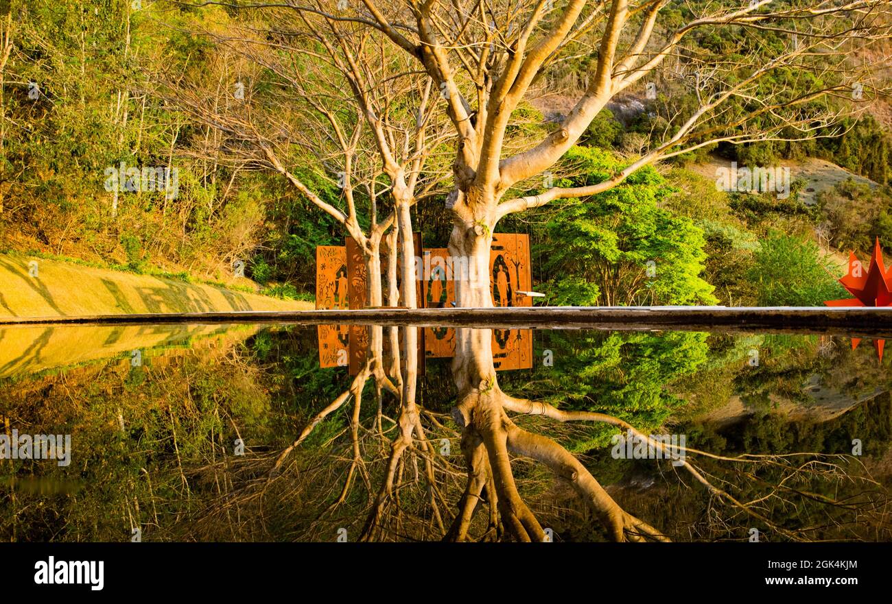 beautiful tree at country fall Stock Photo - Alamy
