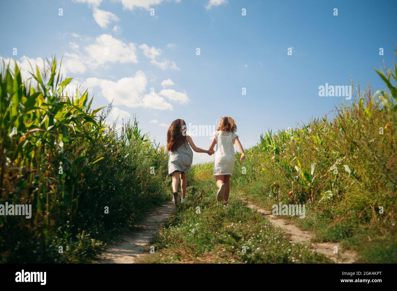 two girls holding hands run across the field in summer Stock Photo - Alamy