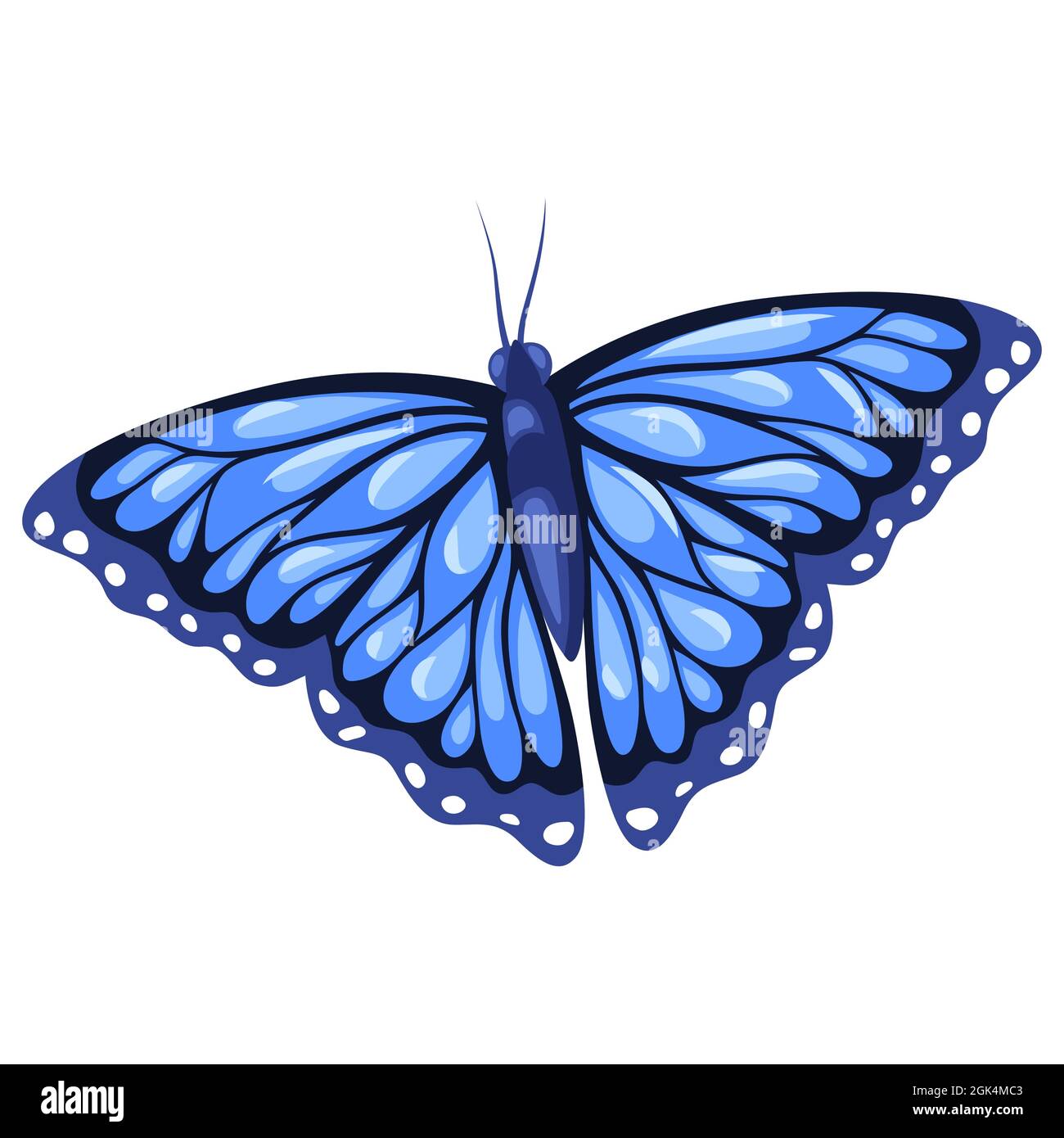 Illustration of blue beautiful butterfly. Stylized insect Stock Vector ...