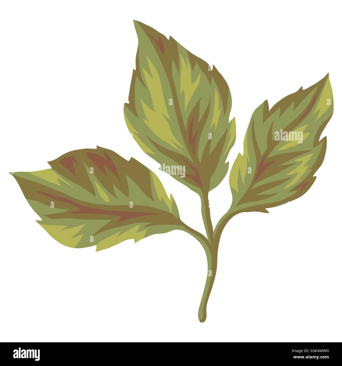 Illustration of beautiful realistic rose leaf. Plant for design and ...
