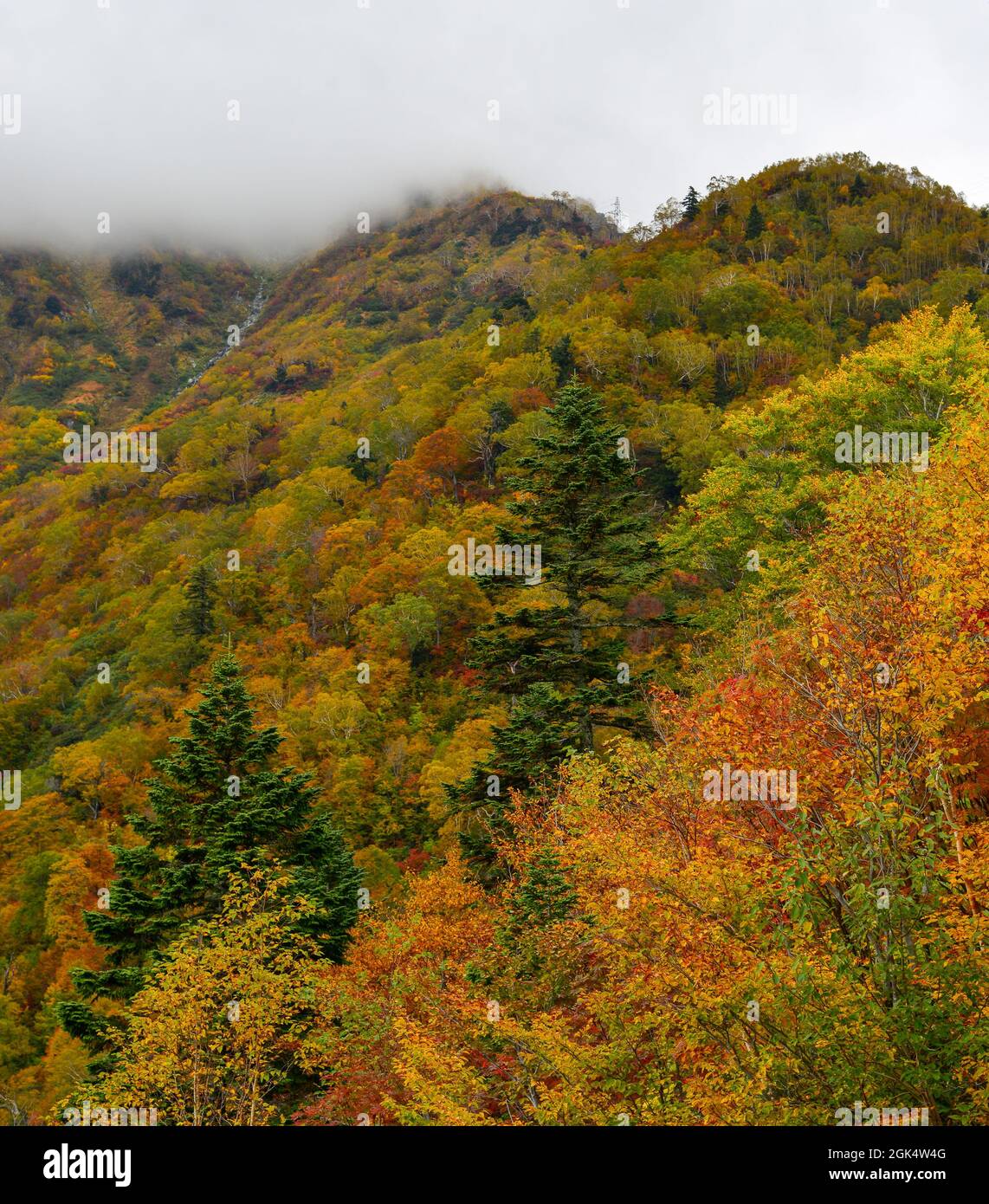 Beautiful mountain scenery near Kurobe Dam Tourist Site in autumn ...