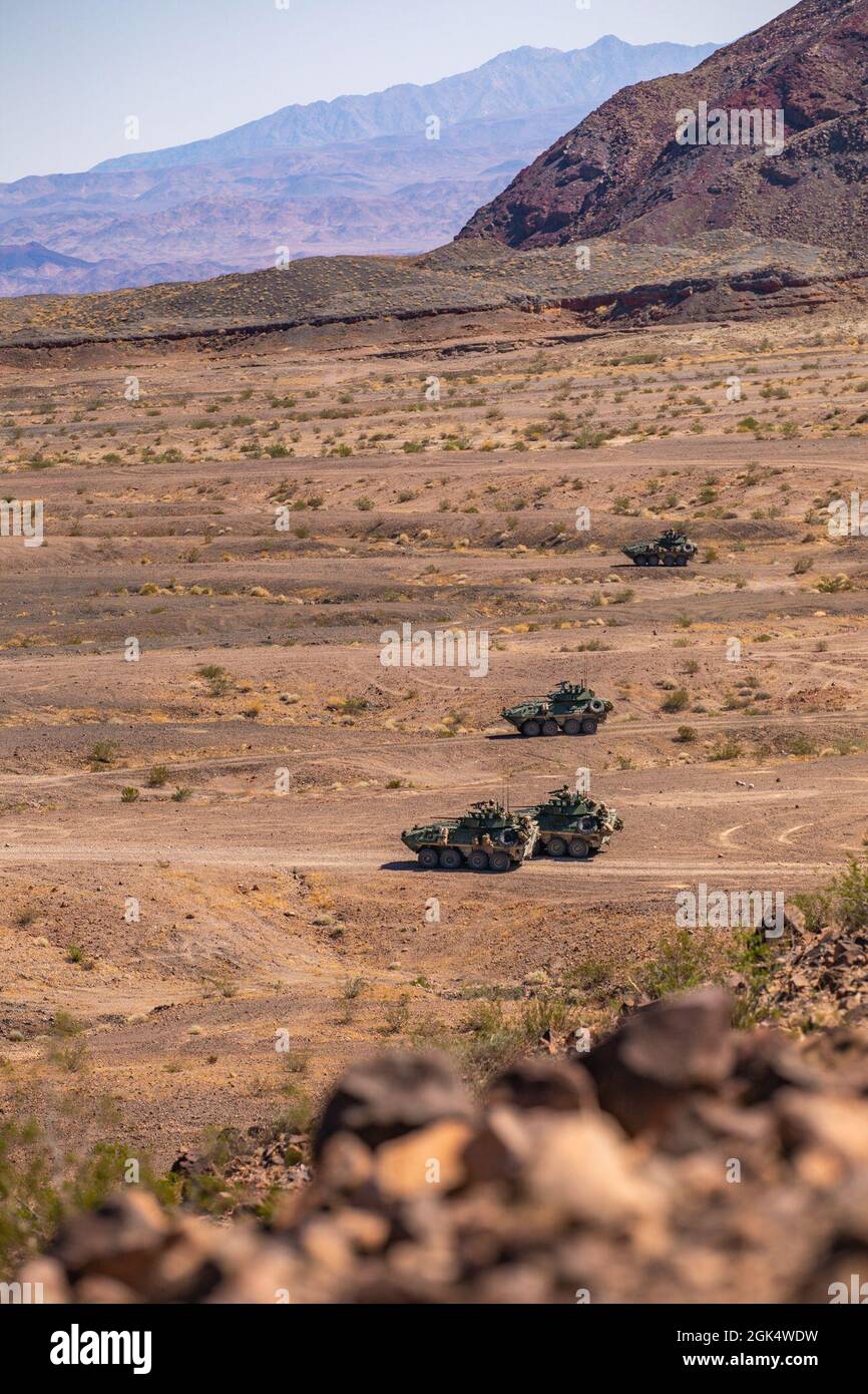 U.S. Marines with Delta Company, 4th Light Armored Reconnaissance ...