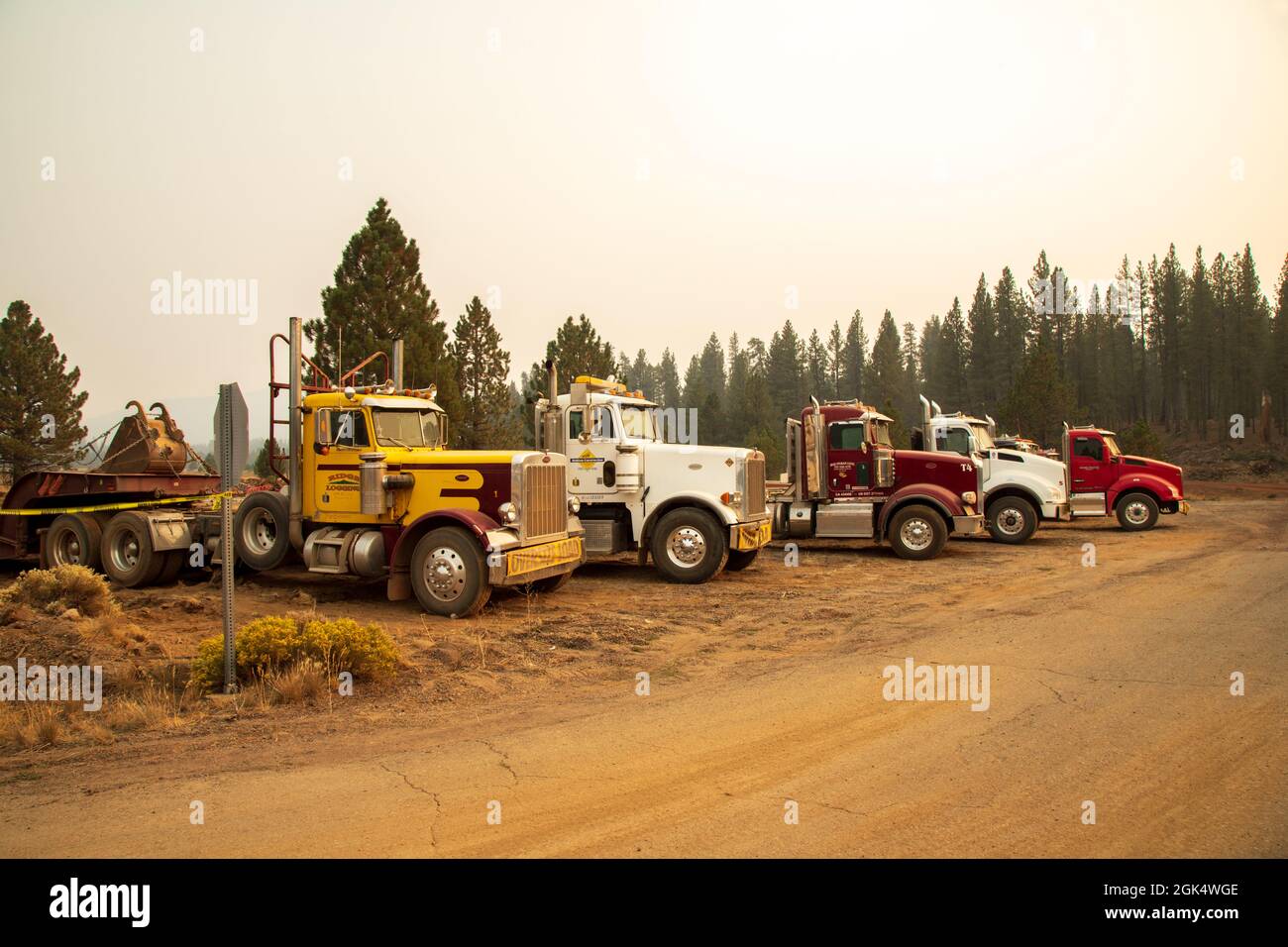 Numerous tractor/trailer rigs are parked alongside State Route 44 after ...