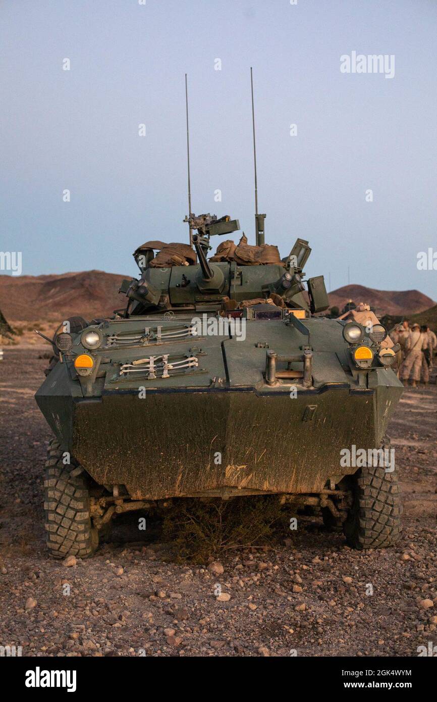 U.S. Marines with Delta Company, 4th Light Armored Reconnaissance ...