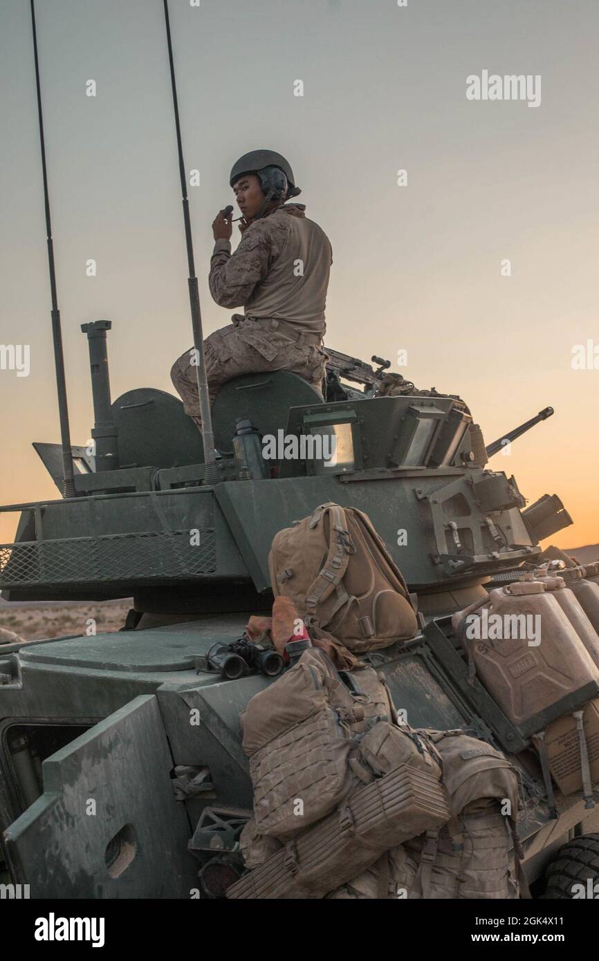 Lance Cpl. Andrew Kim, an LAV driver with Delta Company, 4th Light ...