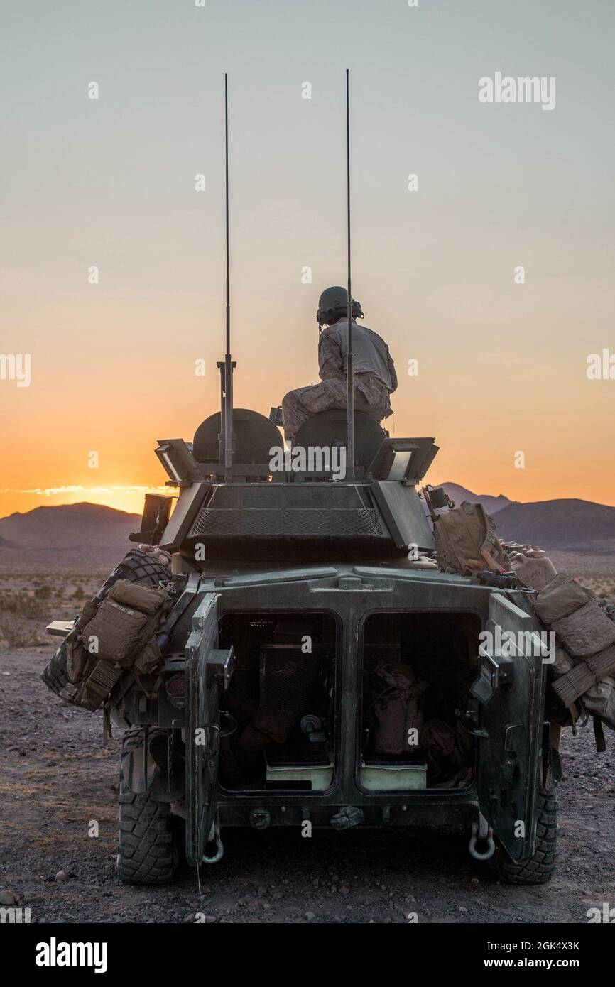 Lance Cpl. Andrew Kim, an LAV-25 driver with Delta Company, 4th Light ...