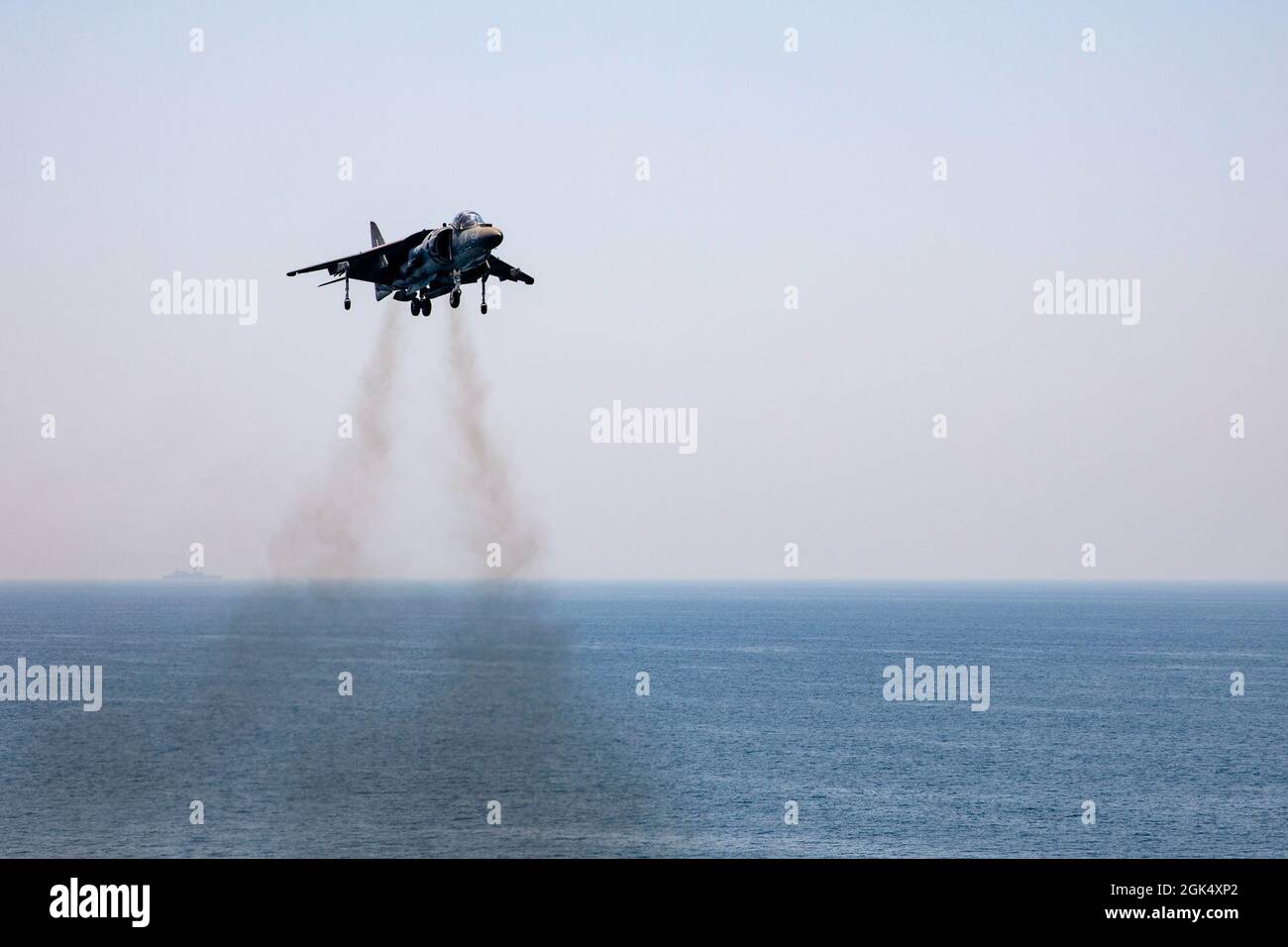 Indian harrier hi-res stock photography and images - Alamy
