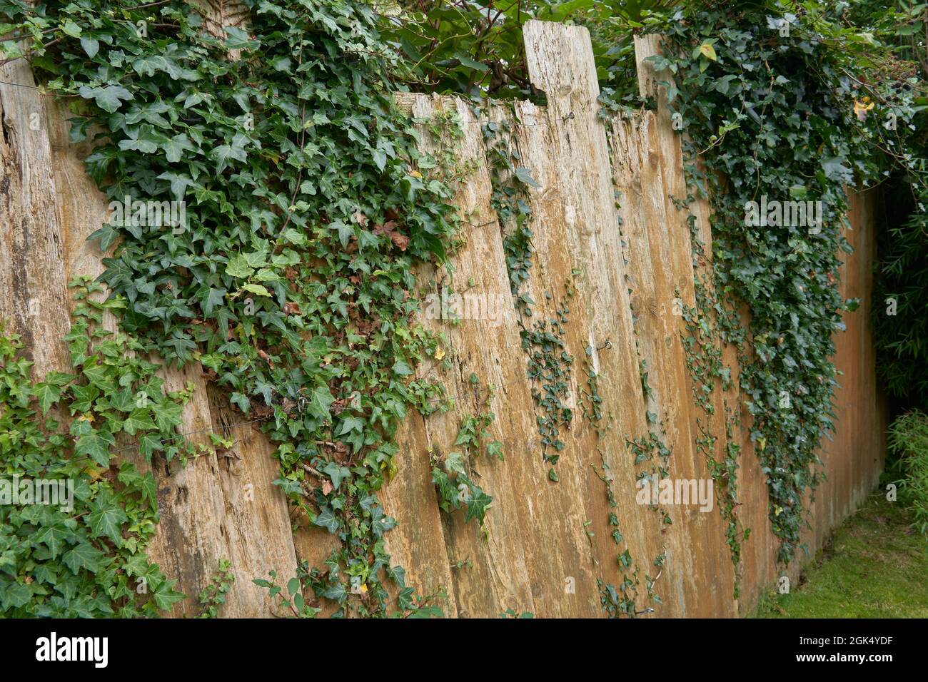 Rotten fence panels hi-res stock photography and images - Alamy