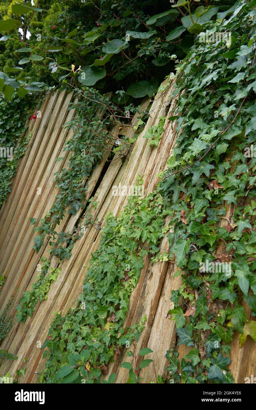 Rotting timber structure hi-res stock photography and images - Alamy