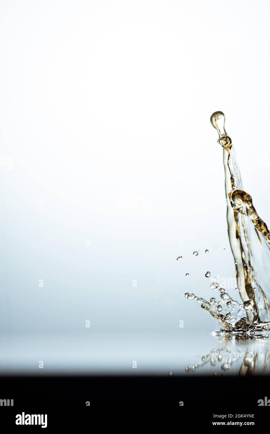 Water splash in the white background Stock Photo - Alamy