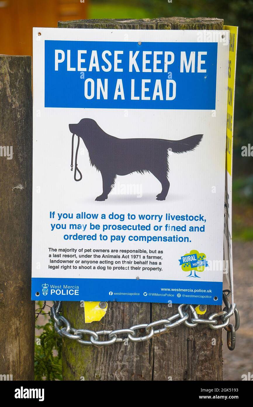 please keep me on a lead dog sign Stock Photo - Alamy