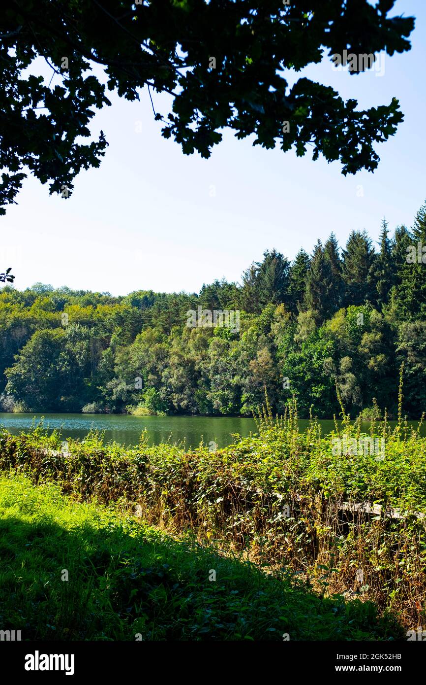 Ardingly Reservoir which is part of South East Water in Sussex ...