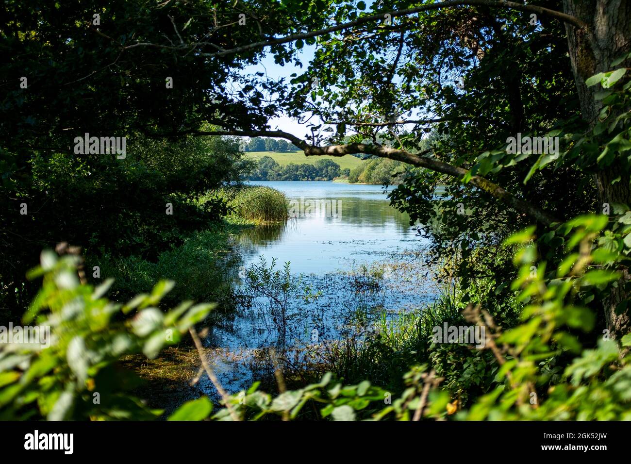 Ardingly Reservoir which is part of South East Water in Sussex ...
