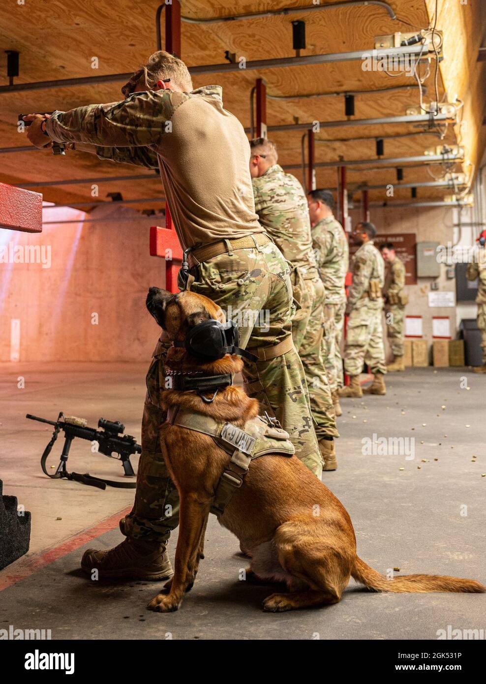 Why Does My Dog Keep Huffing