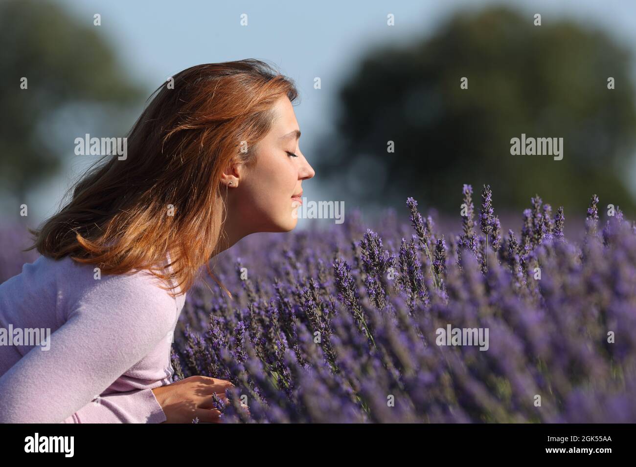 Profile of a woman smelling lavender flowers in a beautiful field Stock ...
