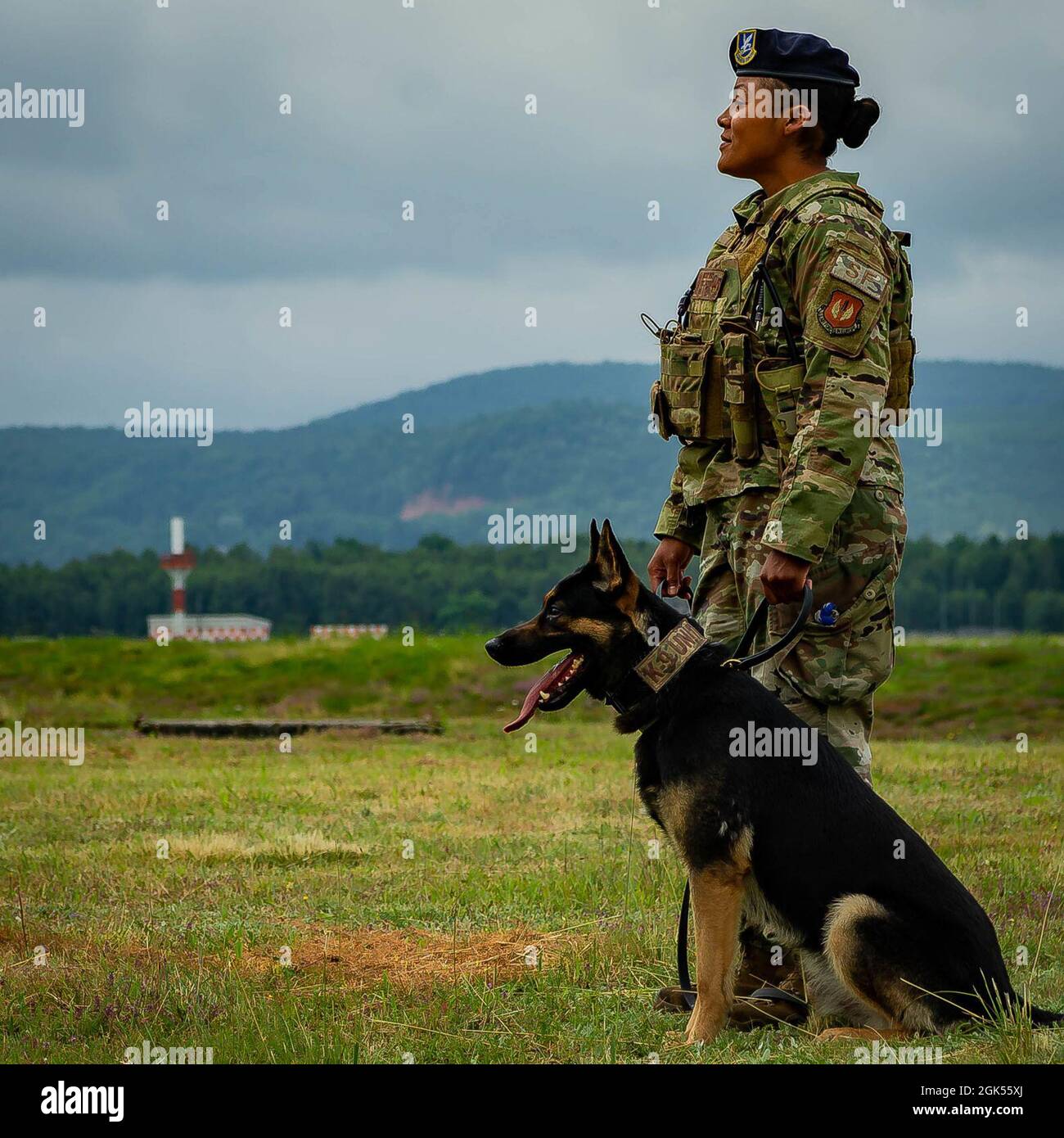 86th security forces squadron hi-res stock photography and images - Alamy