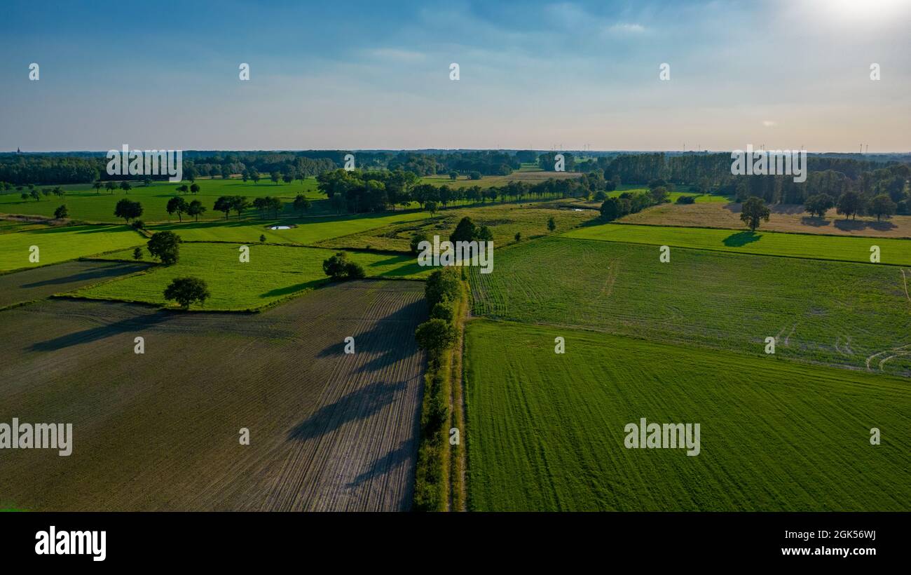 Aerial view with a drone of a spring wavy agricultural countryside ...