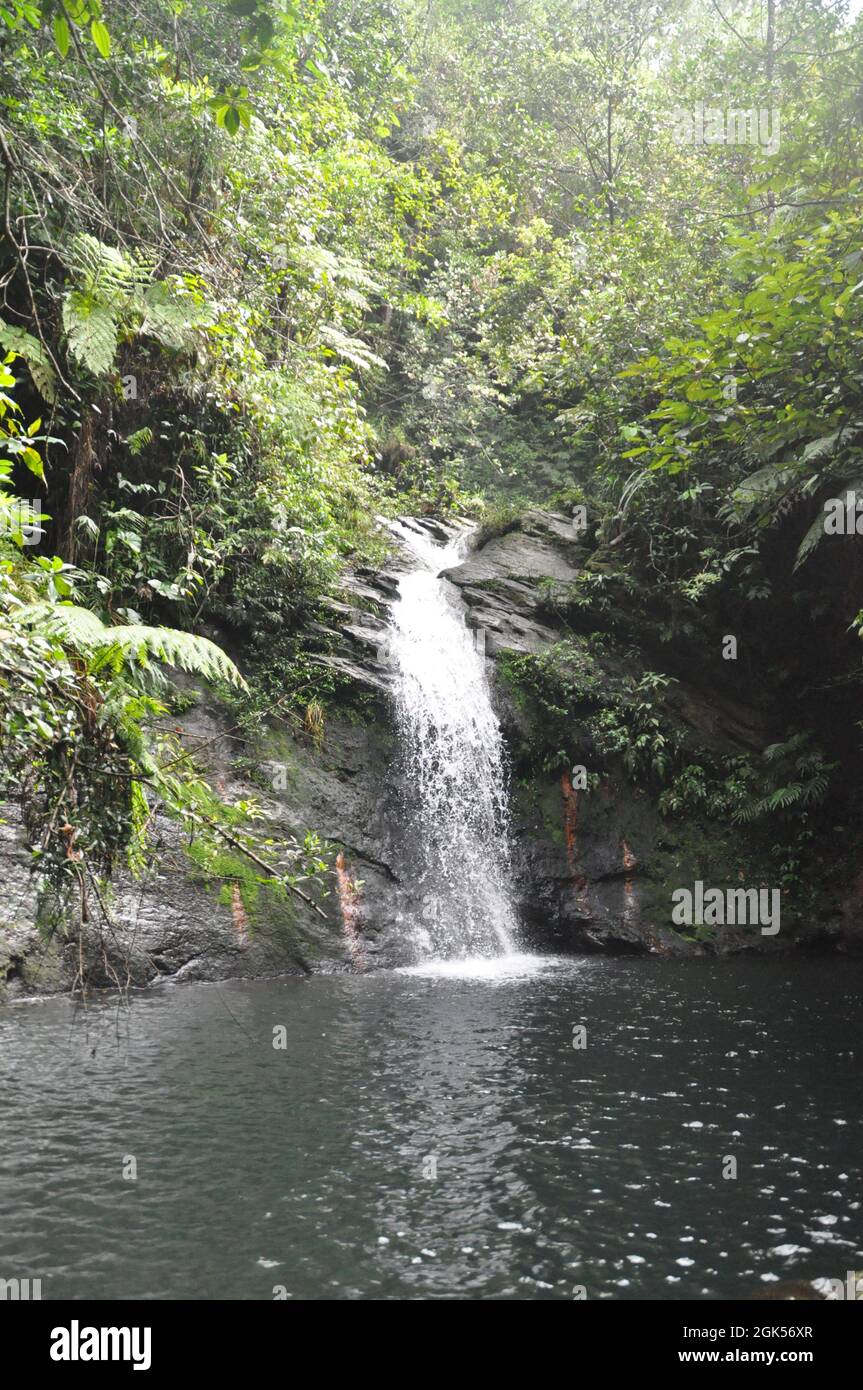 Belize jungle waterfall hi-res stock photography and images - Alamy