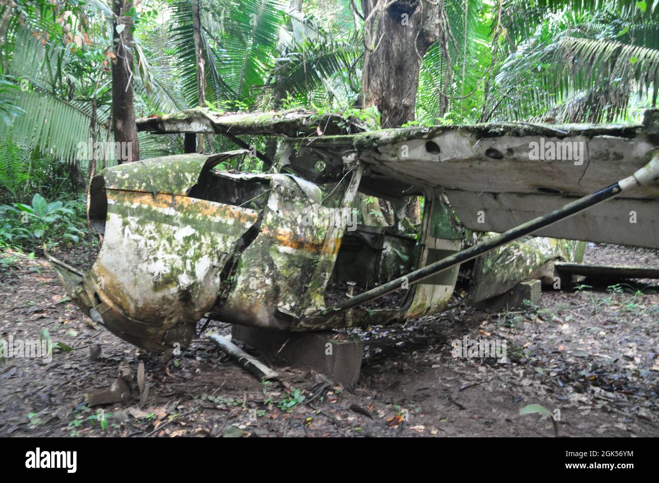Jet jungle hi-res stock photography and images - Alamy