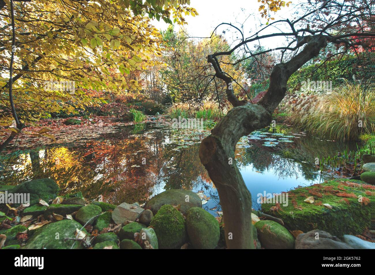 Autumn in northern Italy with plants and pond Stock Photo - Alamy
