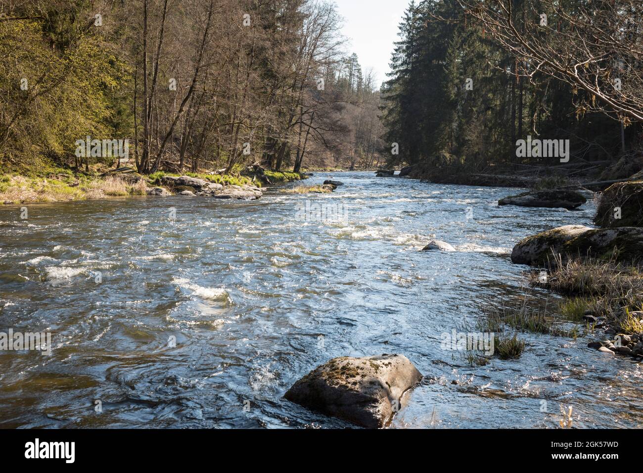 Fluss und wald hi-res stock photography and images - Alamy