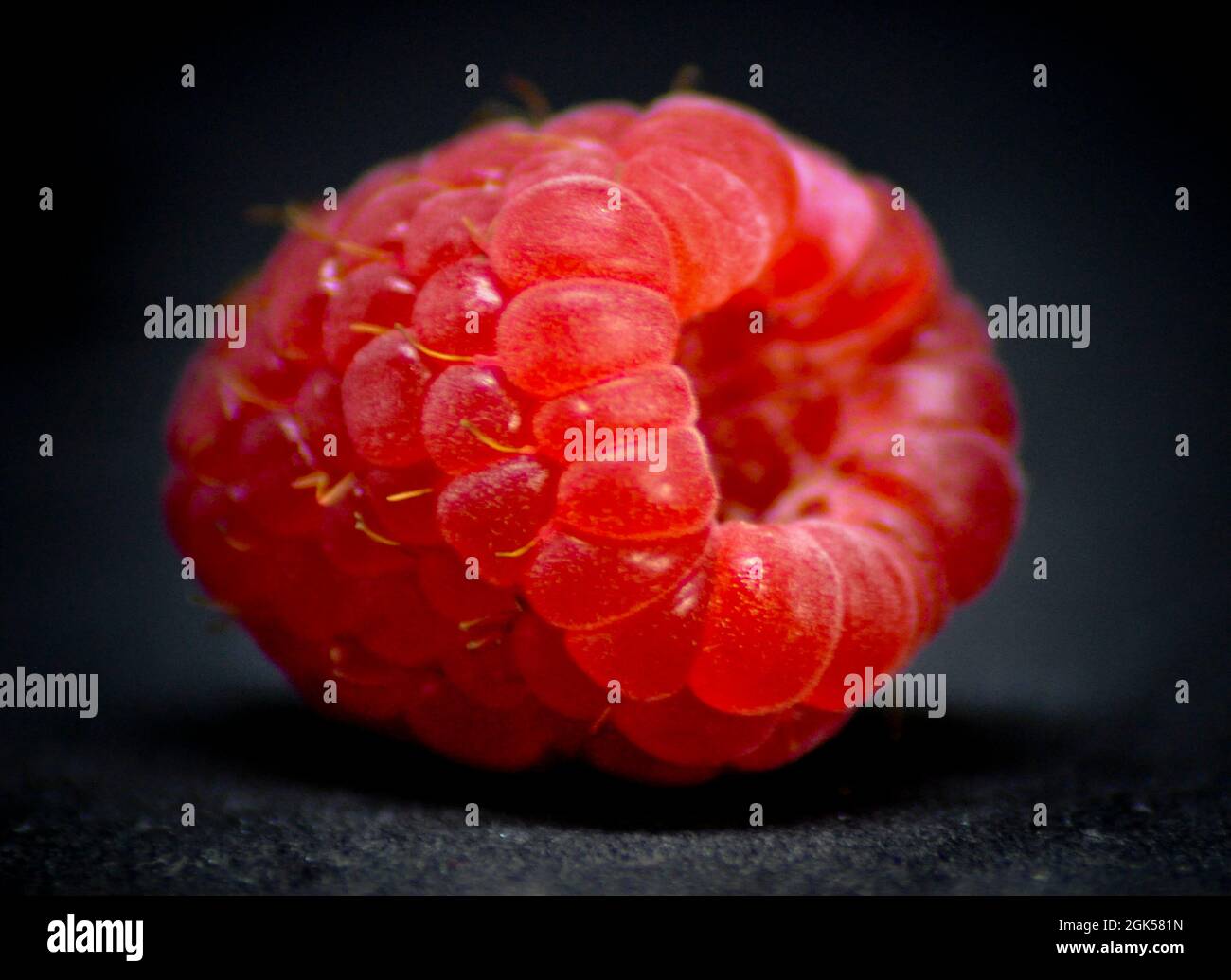 A single raspberry fruit isolated on a black background Stock Photo - Alamy