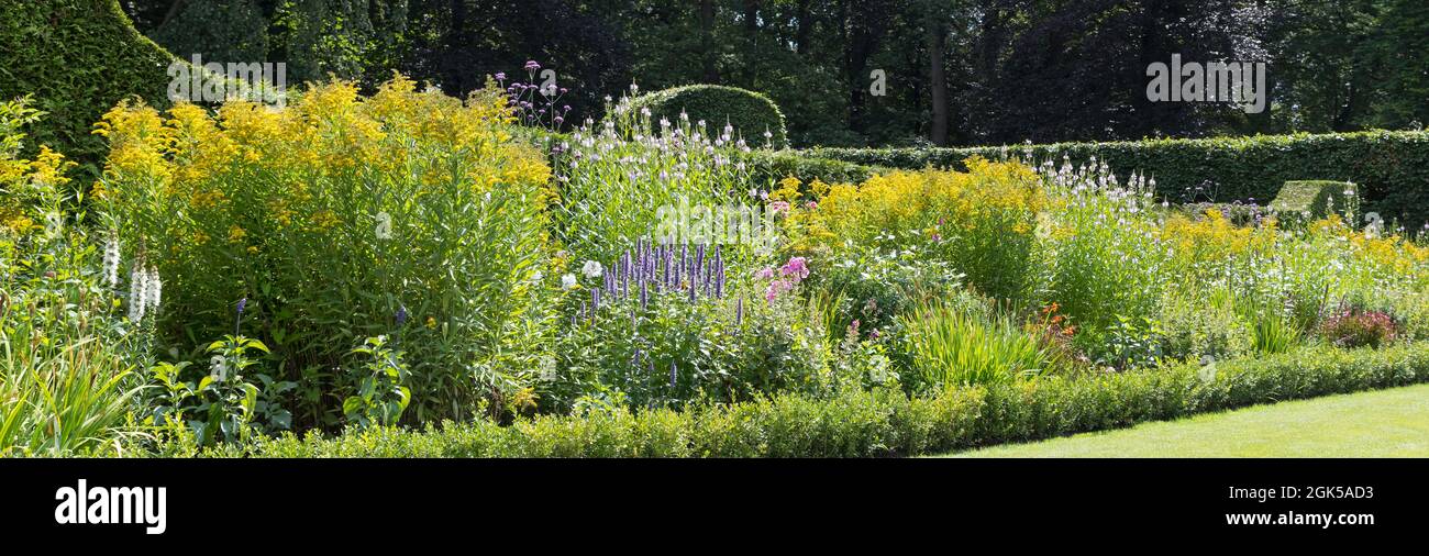 Beautiful wild flowers growing in a field Stock Photo - Alamy