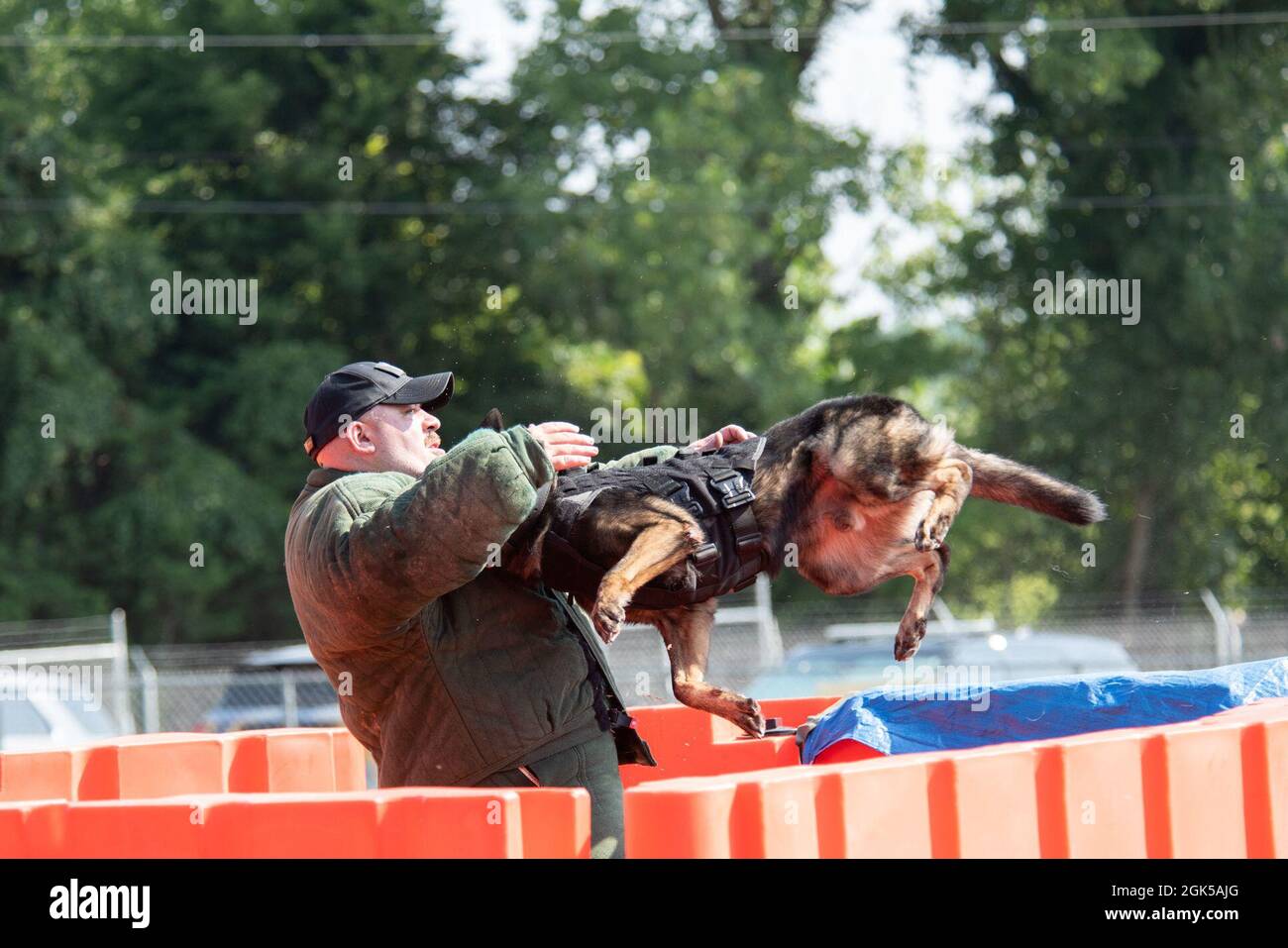 A K-9 working dog leaps over a barrier to attack a handler during the ...
