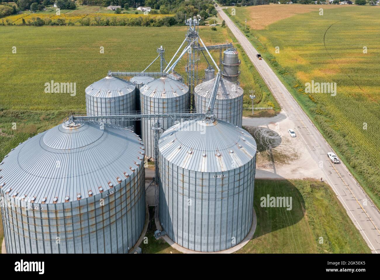 Martin, Michigan - A grain storage silo complex, surrounded by corn ...