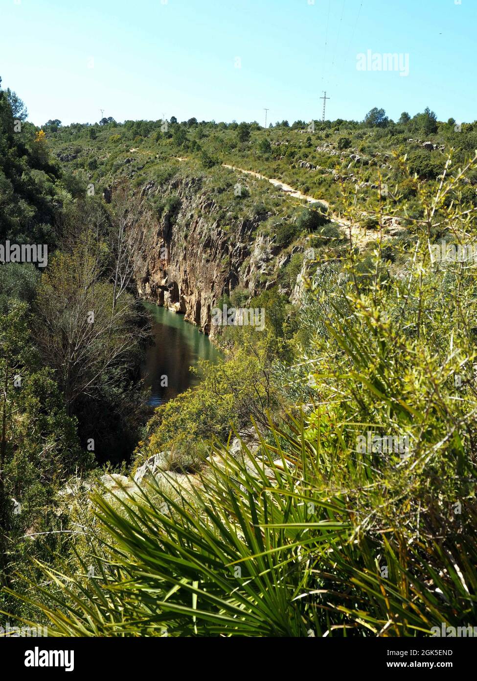 Montane environment hi-res stock photography and images - Alamy